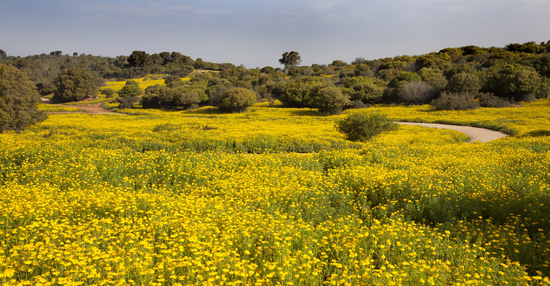 Amit Bar Art - fine art photography