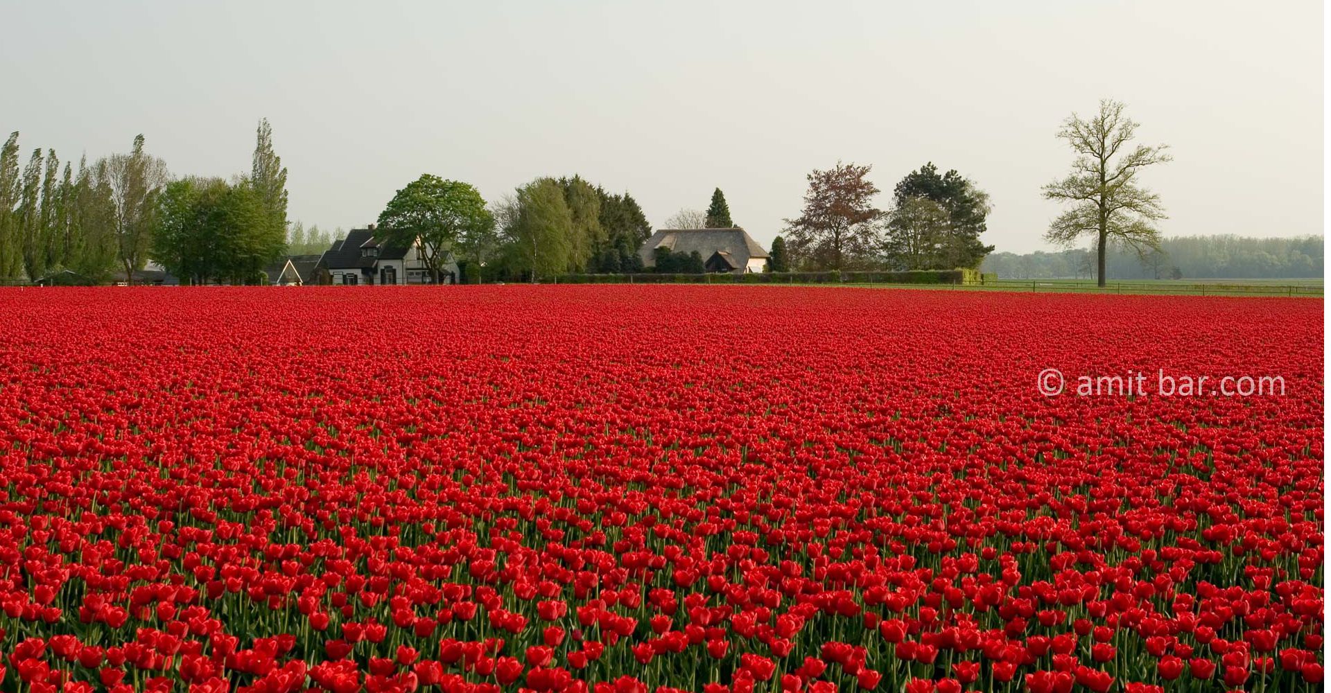 Amit Bar - fine art photography